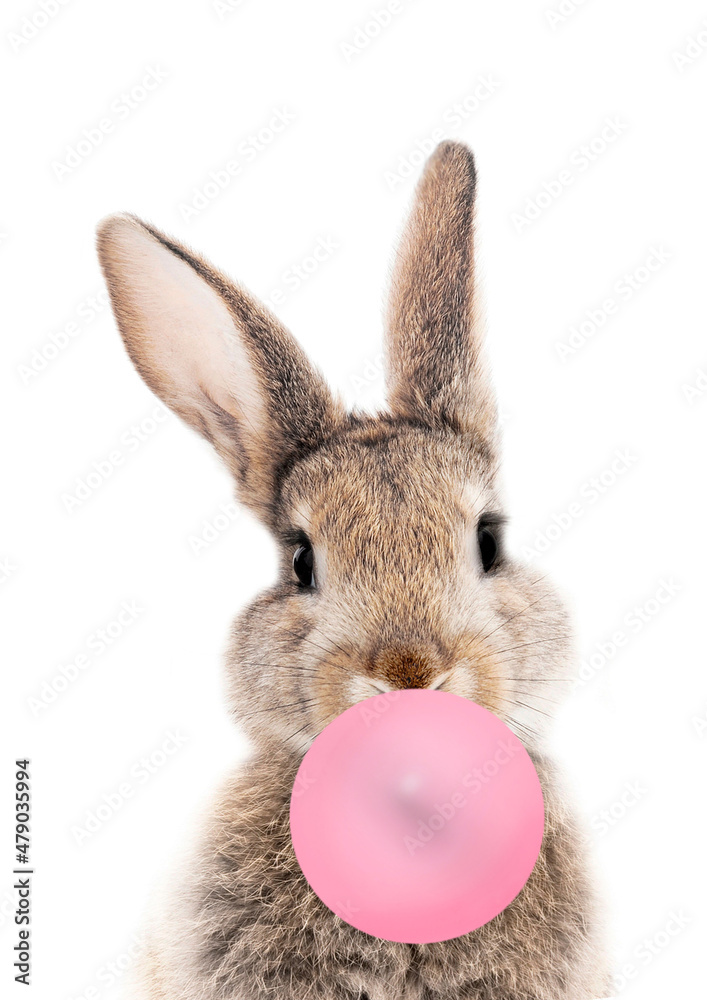 Bunny with pink Bubble Gum Balloon Stock Photo | Adobe Stock