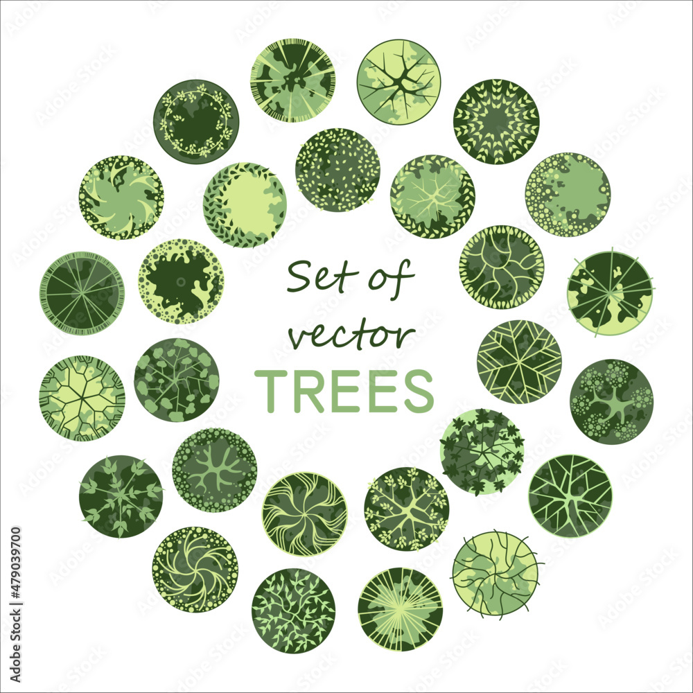 Trees for the master plan. Tree for architectural floor plans ...