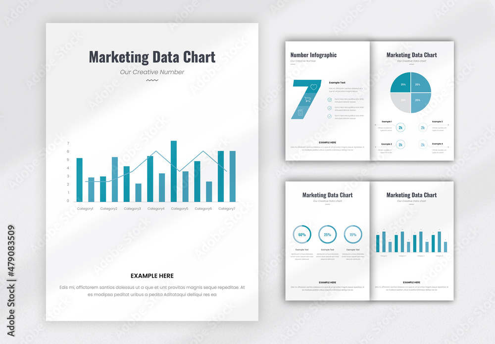 Marketing Data Chart Layout Stock Template | Adobe Stock