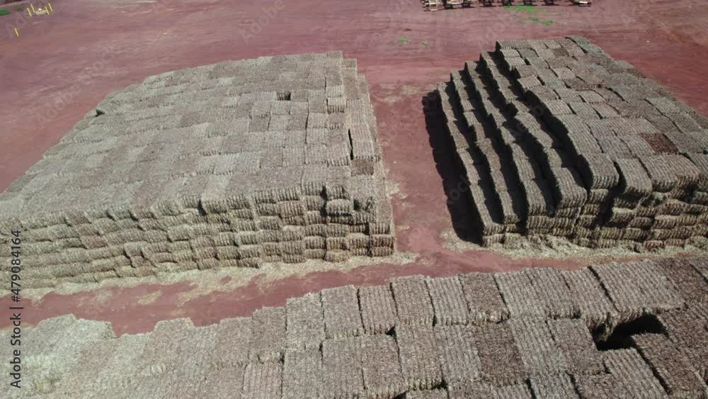 Sugarcane Bagasse. Bagasse is the fibrous matter that remains after ...