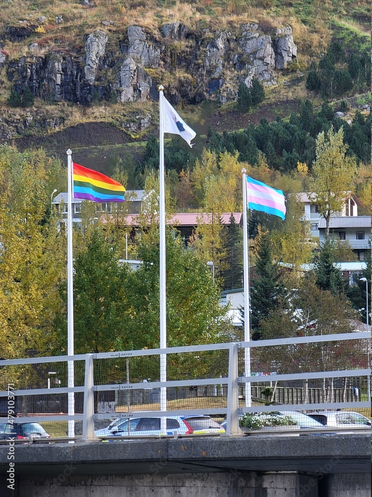 sign on the street flag flagpole lgbt lgbtq lgbtq+ transgender trans ...