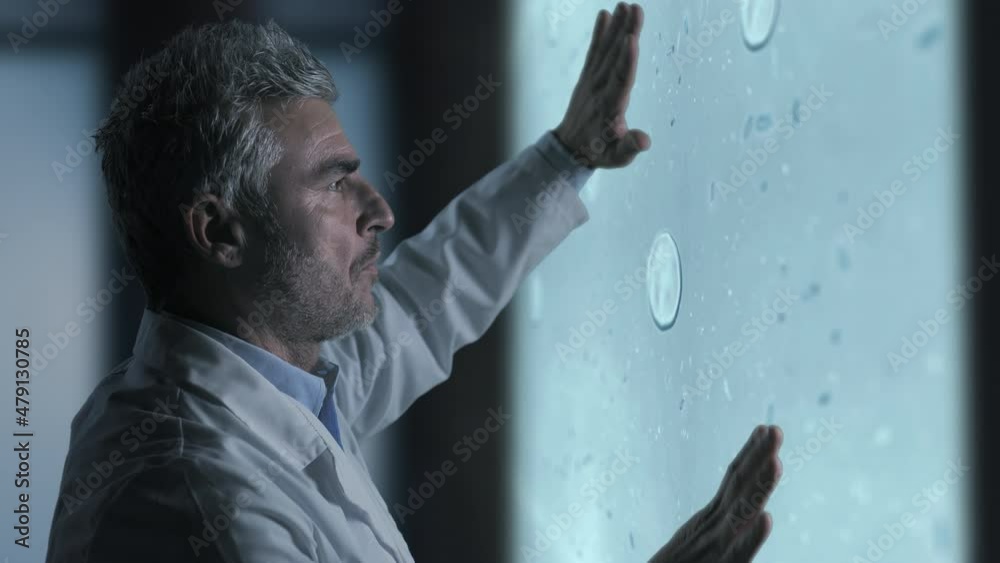 scientist biologist studying digital microscope image of cells mitosis ...