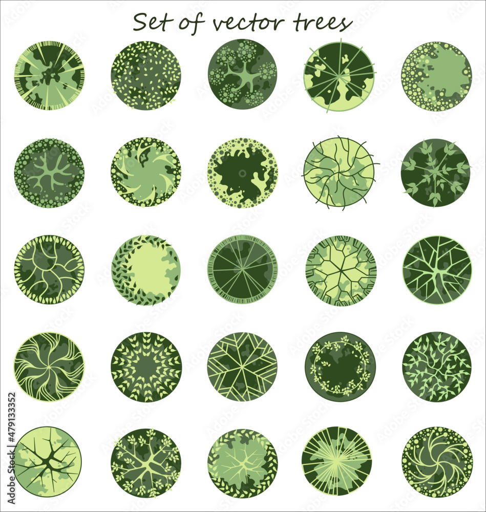 Trees for the master plan. Tree for architectural floor plans ...