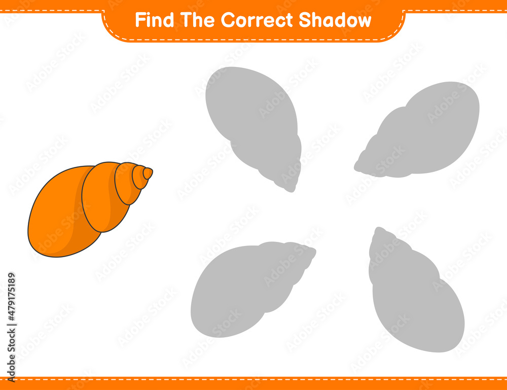 Find the correct shadow. Find and match the correct shadow of Sea ...
