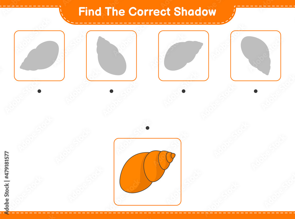 Find the correct shadow. Find and match the correct shadow of Sea ...