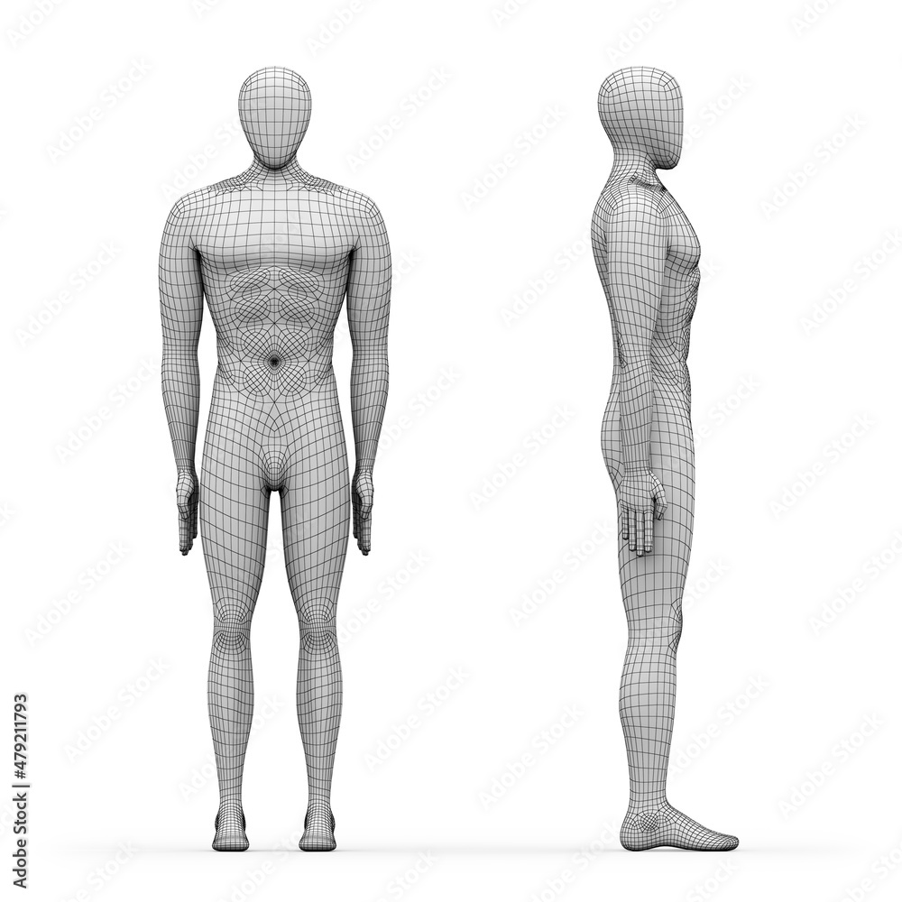 Three-dimensional models of human body isolated on white background. 3D ...