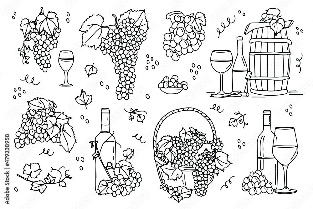 Wine Grapes Outline