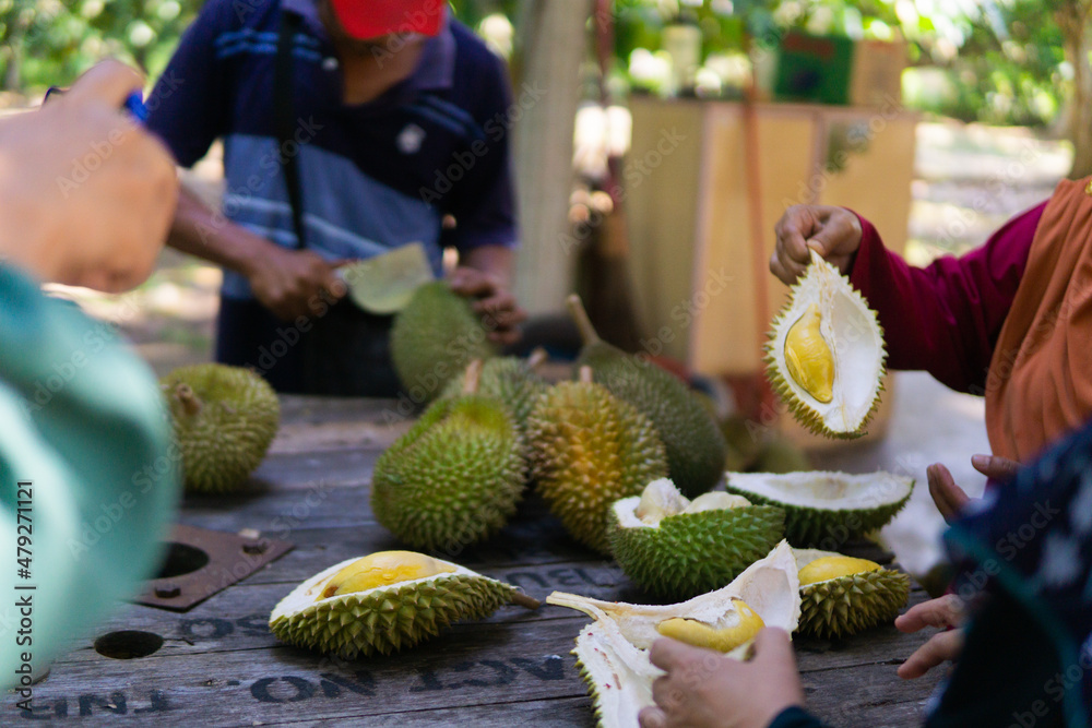 Fotografia do Stock: Fresh exotic fruit at garden with sun ray affect ...