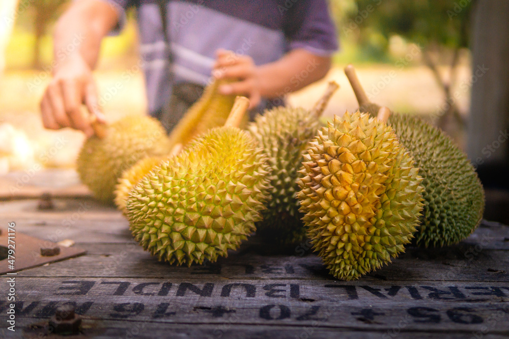 Fresh exotic fruit at garden with sun ray affect. The fruits also known ...