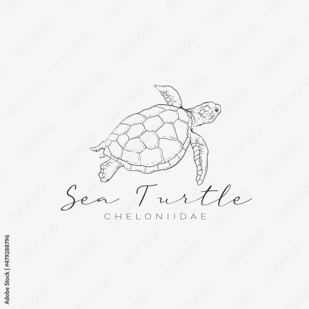 Sea turtle icon logo hand drawn vector illustration isolated on white ...