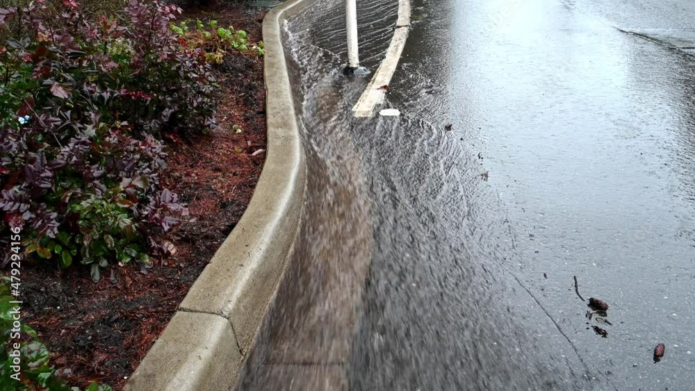 Rainwater flooding down a residential street, sidewalk median planted ...