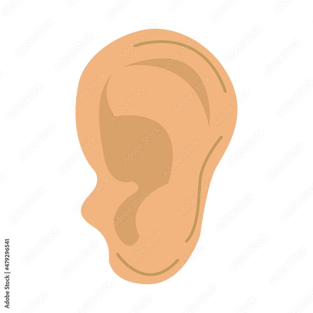 human ear anatomy Stock Vector | Adobe Stock