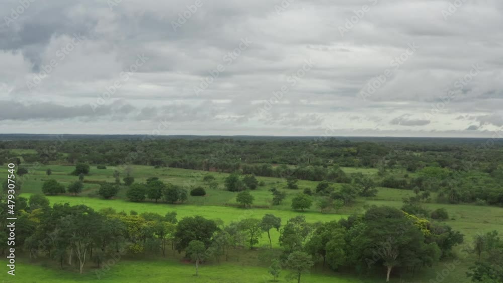 Aerial view nature Paraguay. Farm fields in Paraguay with beautiful ...