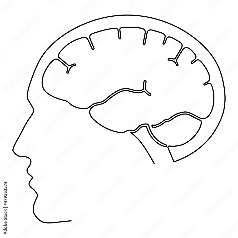 Human brain in man profile view left. Continuous line drawing. Vector ...