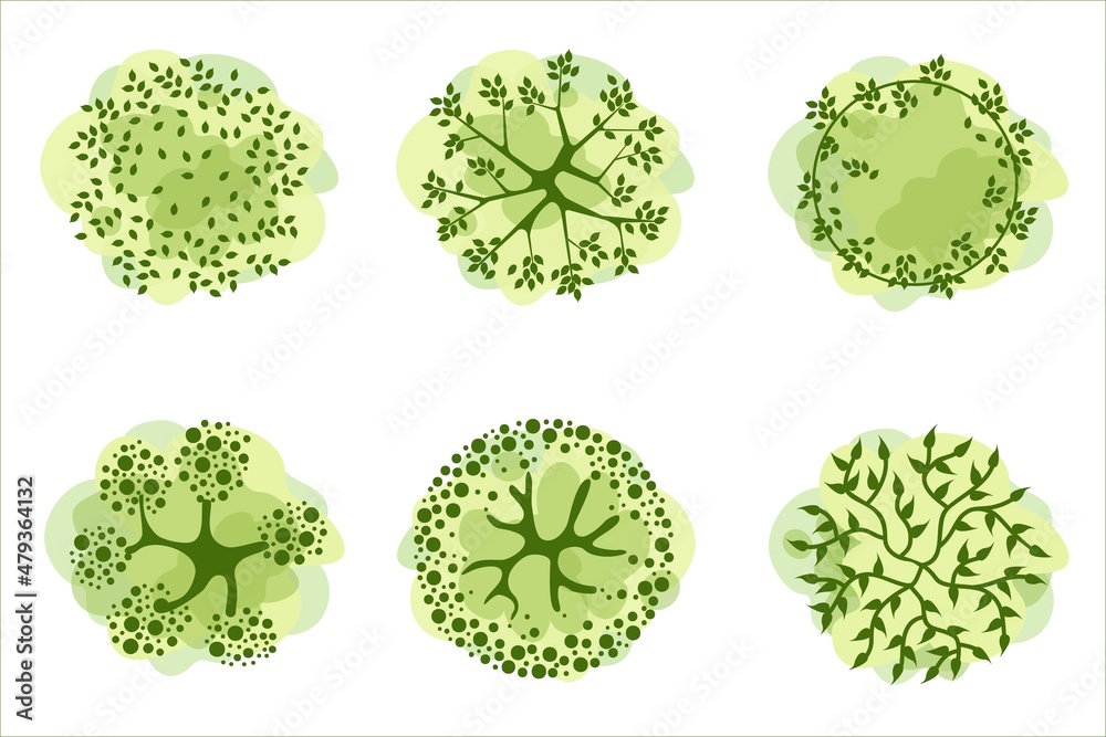 Trees for the master plan. Tree for architectural floor plans ...