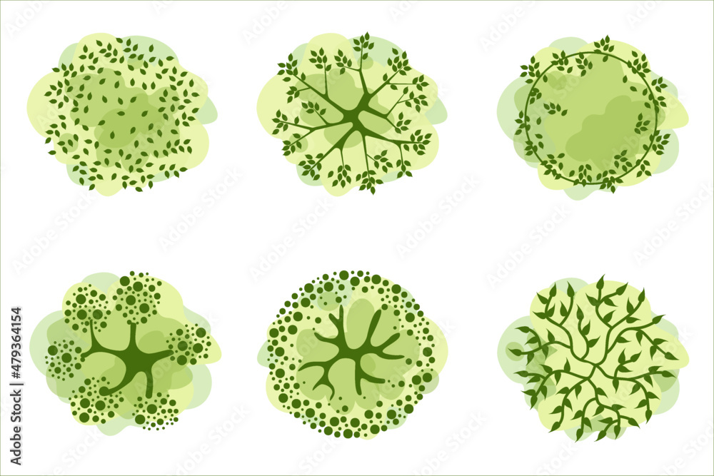 Trees for the master plan. Tree for architectural floor plans ...