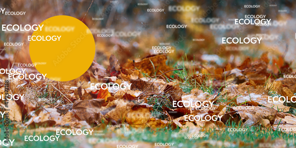 Ecology concept - Banner Environment - Graphic resources for ...