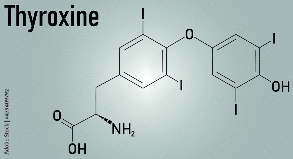 Thyroxine, T4 or levothyroxine thyroid hormone molecule. Prohormone of ...