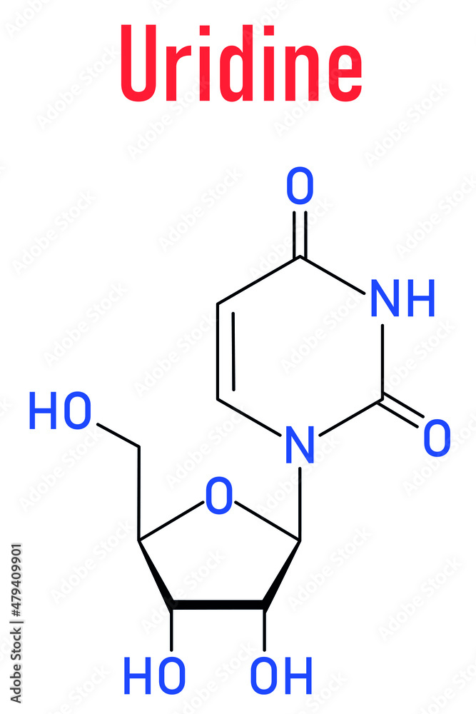 Uridine, Urd, U nucleoside molecule. Building block of RNA. Skeletal ...