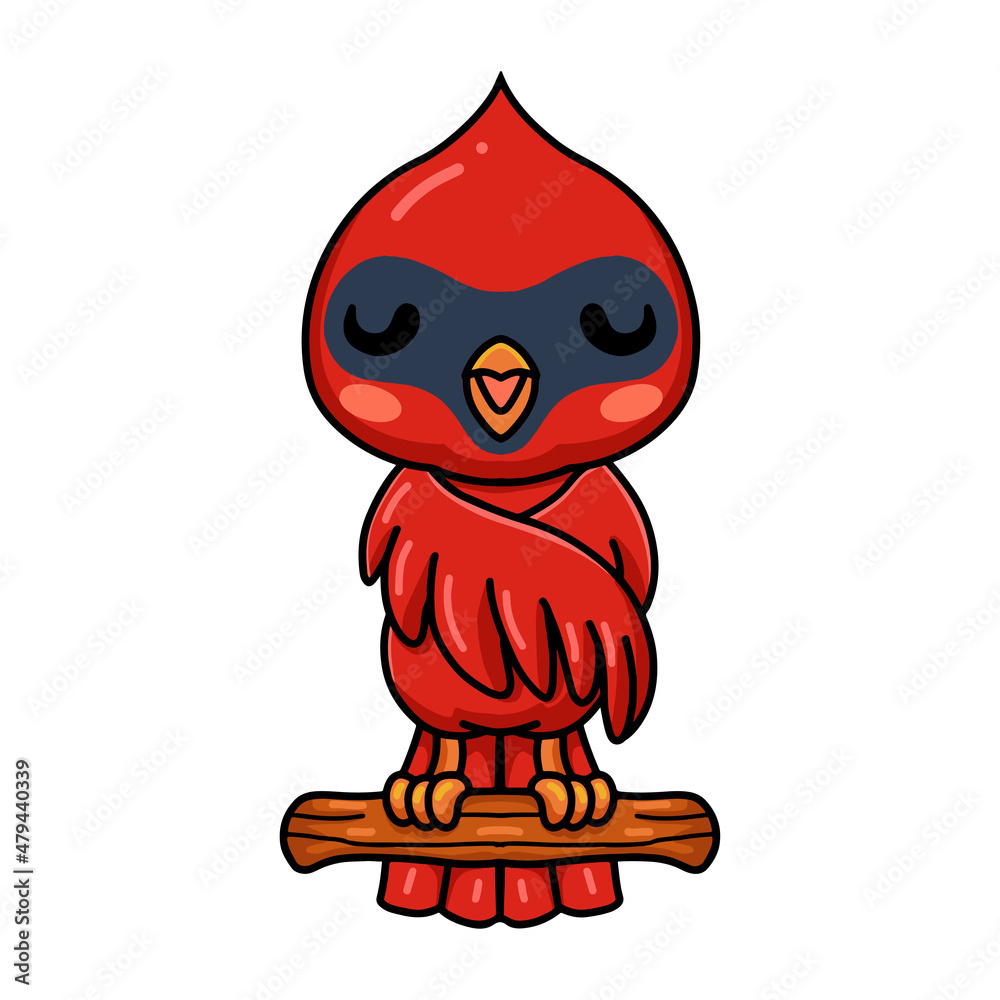 Baby Red Bird
