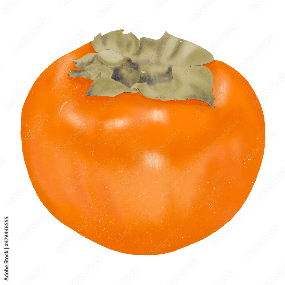 Realistic persimmon procreate illustration isolated on white background ...