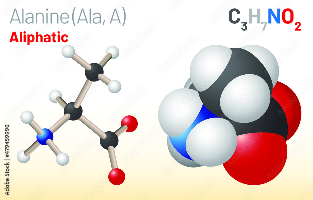 Alanine (Ala, A) amino acid molecule. (Chemical formula C3H7NO2) it is ...