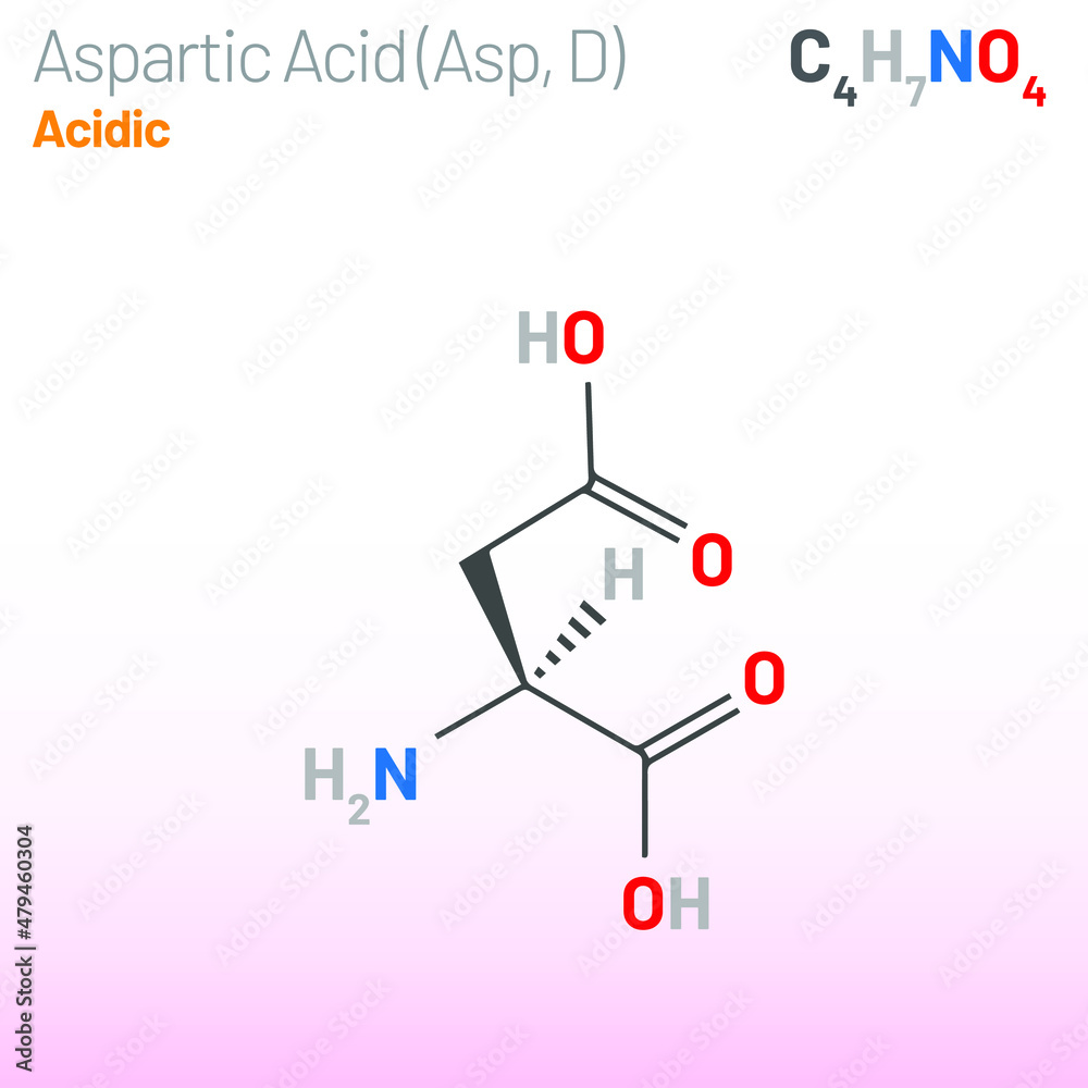 Aspartic Acid (Asp, D) amino acid molecule. (Chemical formula C4H7NO4 ...