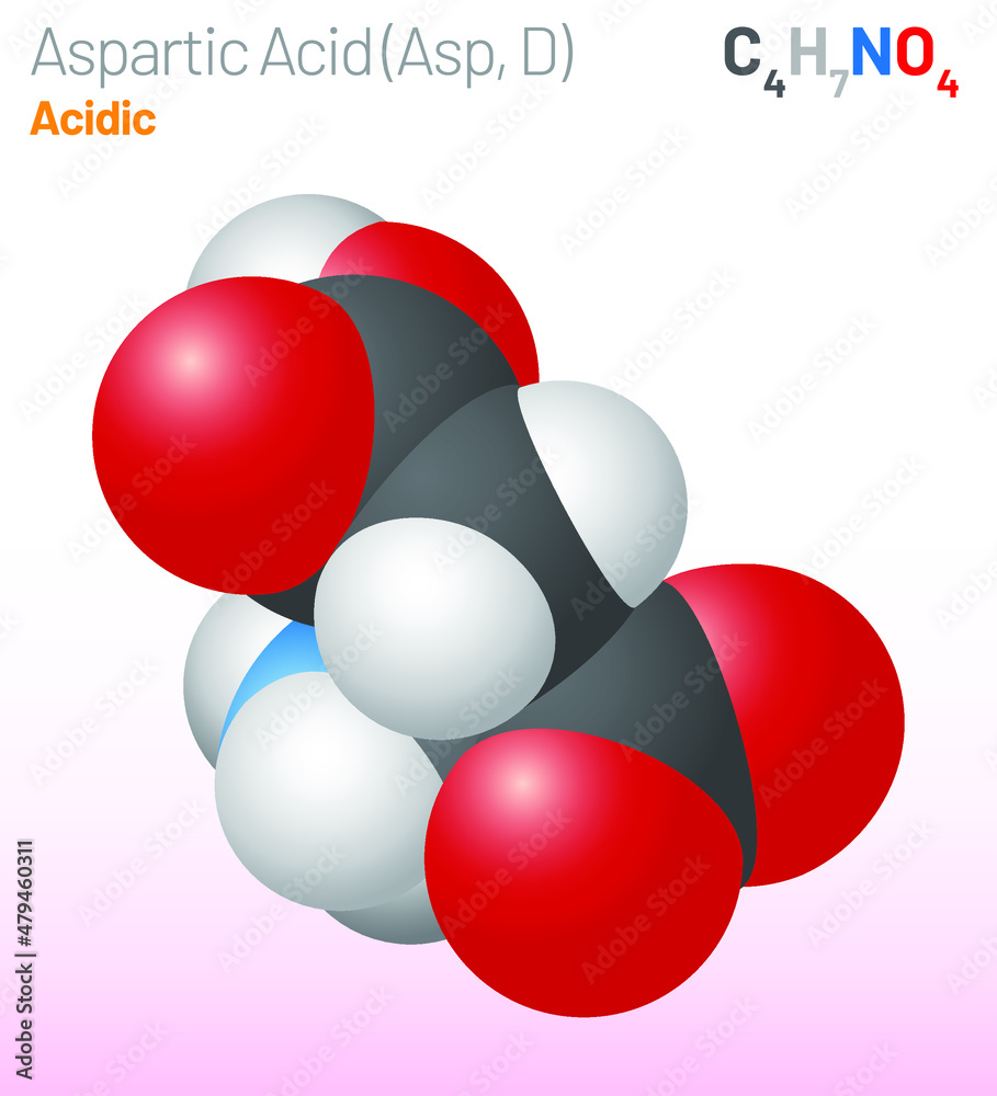 Aspartic Acid (Asp, D) amino acid molecule. (Chemical formula C4H7NO4 ...