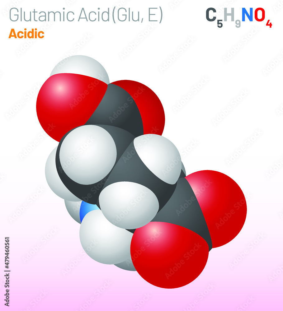 Glutamic Acid (Glu, E) amino acid molecule. (Chemical formula C5H9NO4 ...
