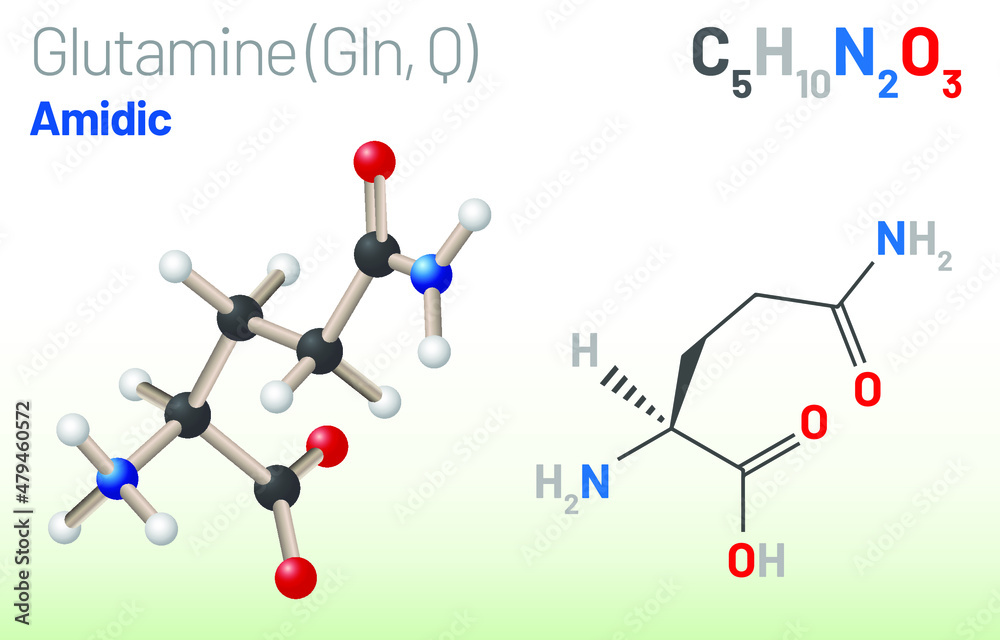 Glutamine (Gln, Q) amino acid molecule. (Chemical formula C5H10N2O3 ...