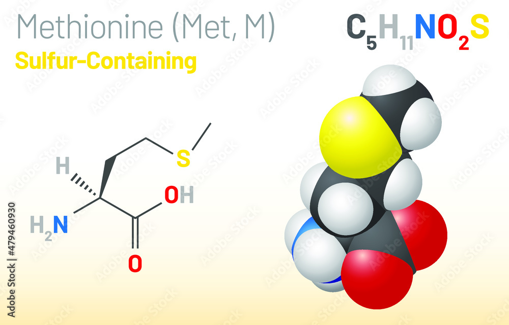 Methionine (Met, M) amino acid molecule. (Chemical formula C5H11NO2S ...