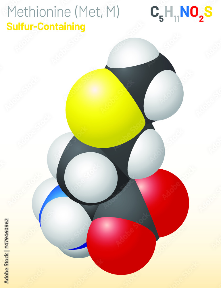 Methionine (Met, M) amino acid molecule. (Chemical formula C5H11NO2S ...