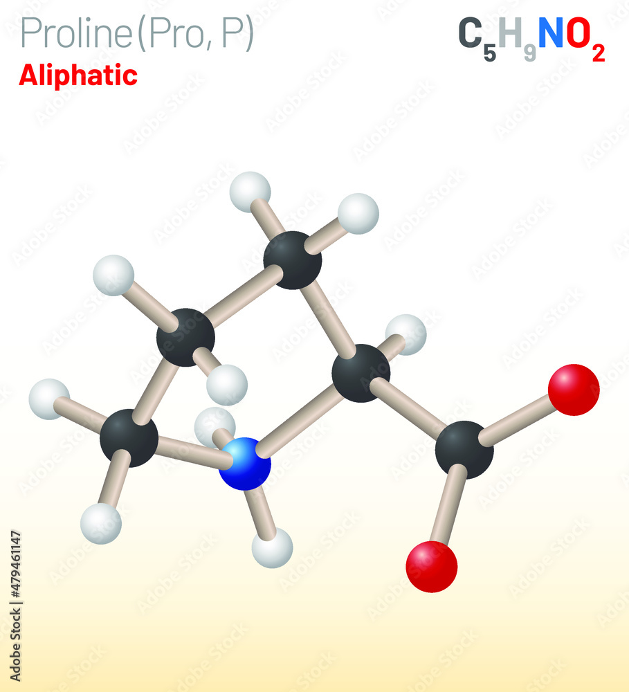 Proline (Pro, P) proteinogenic amino acid molecule. (Chemical formula ...