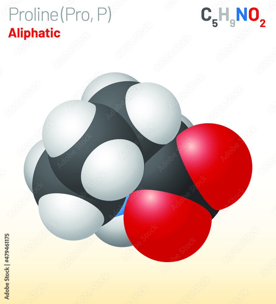 Proline (Pro, P) proteinogenic amino acid molecule. (Chemical formula ...