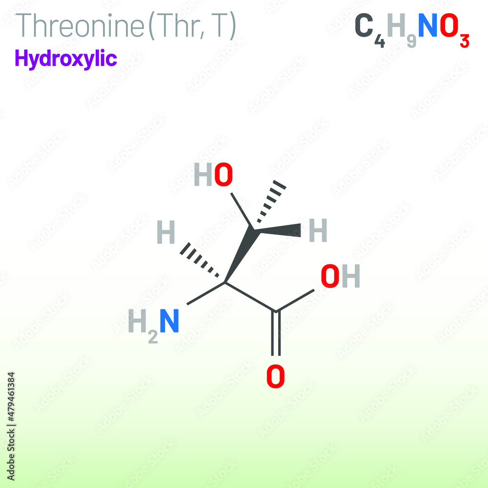 Threonine (Thr, T) amino acid molecule. (Chemical formula C4H9NO3) Ball ...