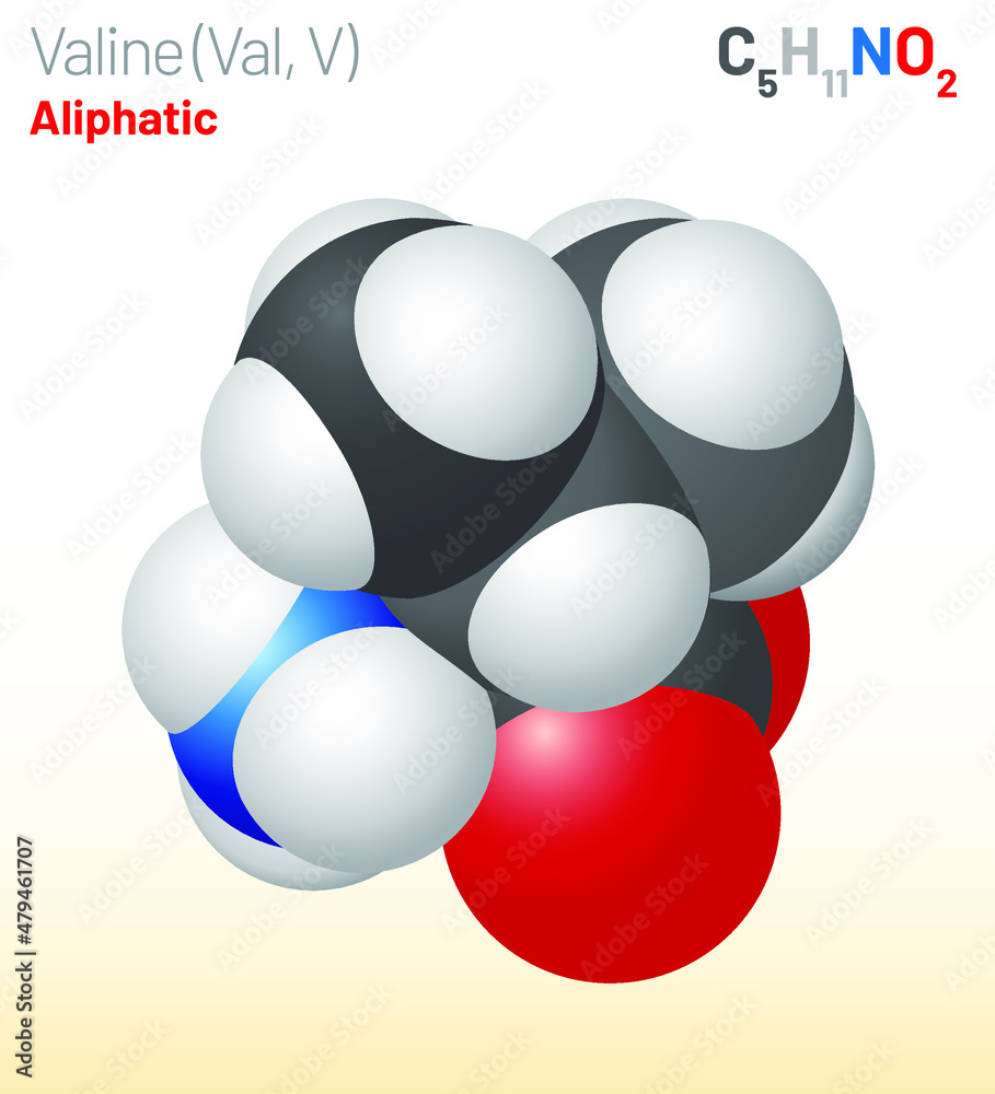 Valine Val L Amino Acid Molecule Chemical Formula C5h11no2 Used