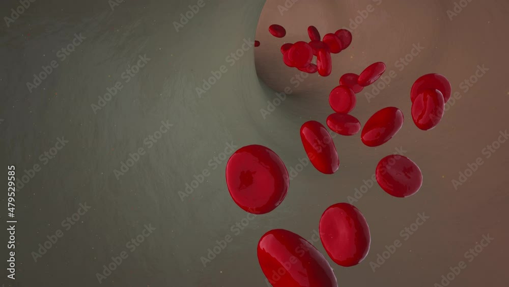 The human blood system. Depiction of a blood clot forming inside a ...