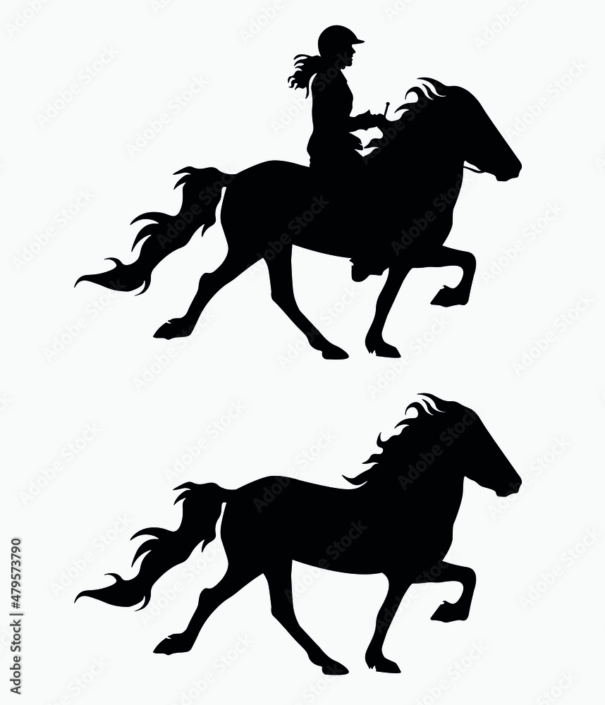 Icelandic horse running in tölt, with rider, and with no rider, black ...