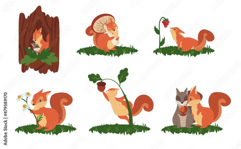 Cartoon squirrel scenes. Cute wild animal in different poses, jump play ...