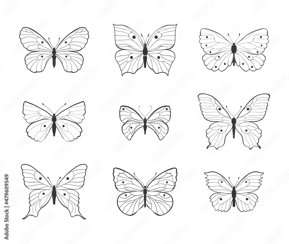 set of butterflies drawn in line art style, decorative outline. various ...