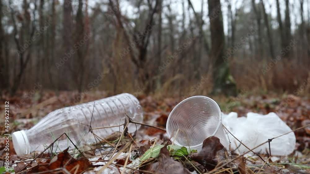Garbage collection in the forest. A volunteer collects garbage in a ...