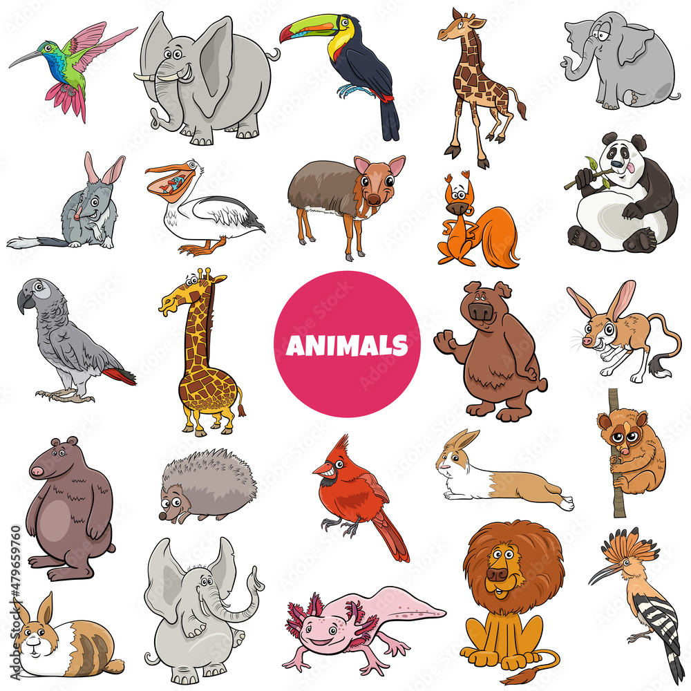 cartoon wild animal species characters big set Stock Vector | Adobe Stock