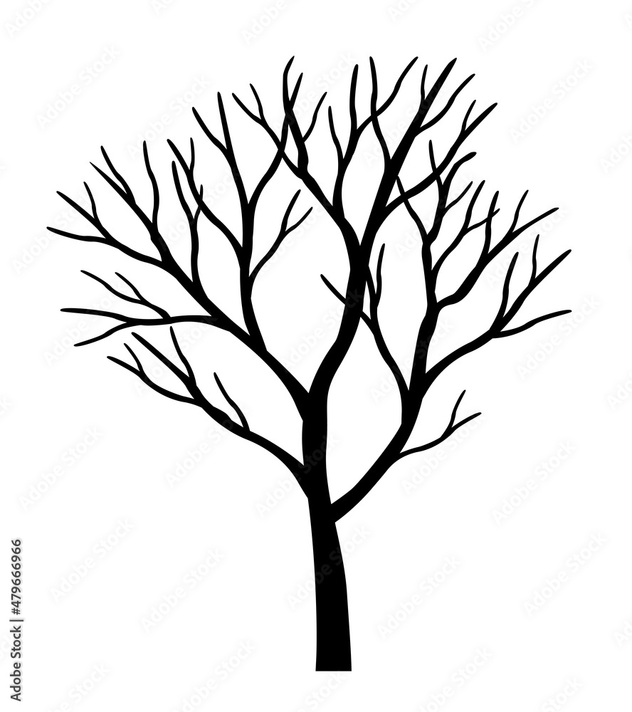 Black Tree. Vector outline Illustration. Outline drawing. Stock Vector ...