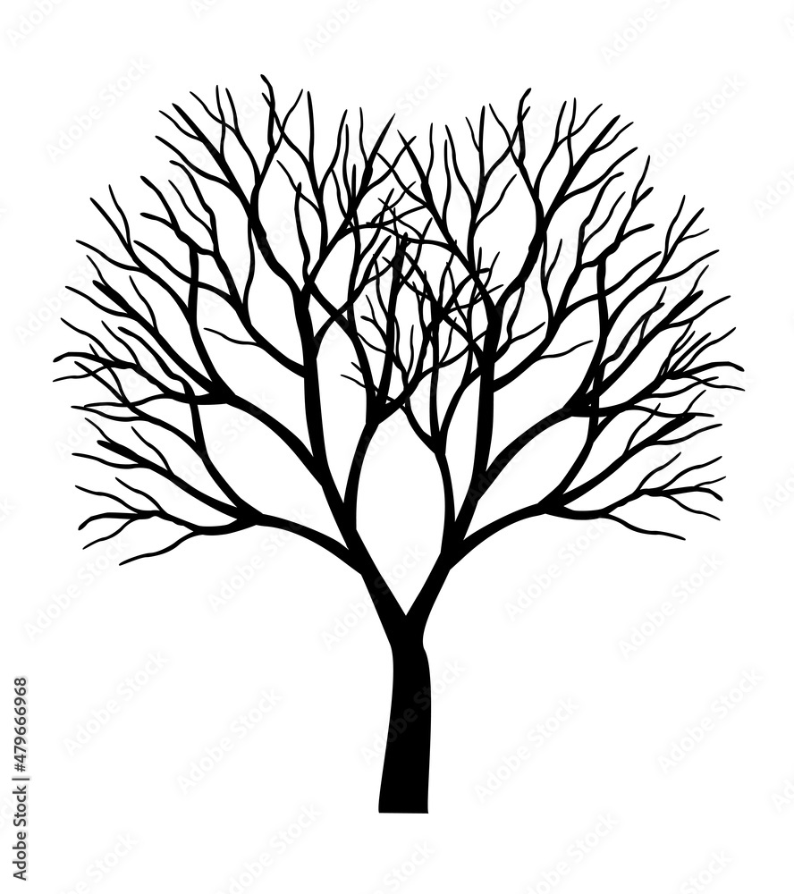 Black Tree. Vector outline Illustration. Outline drawing. Stock Vector ...
