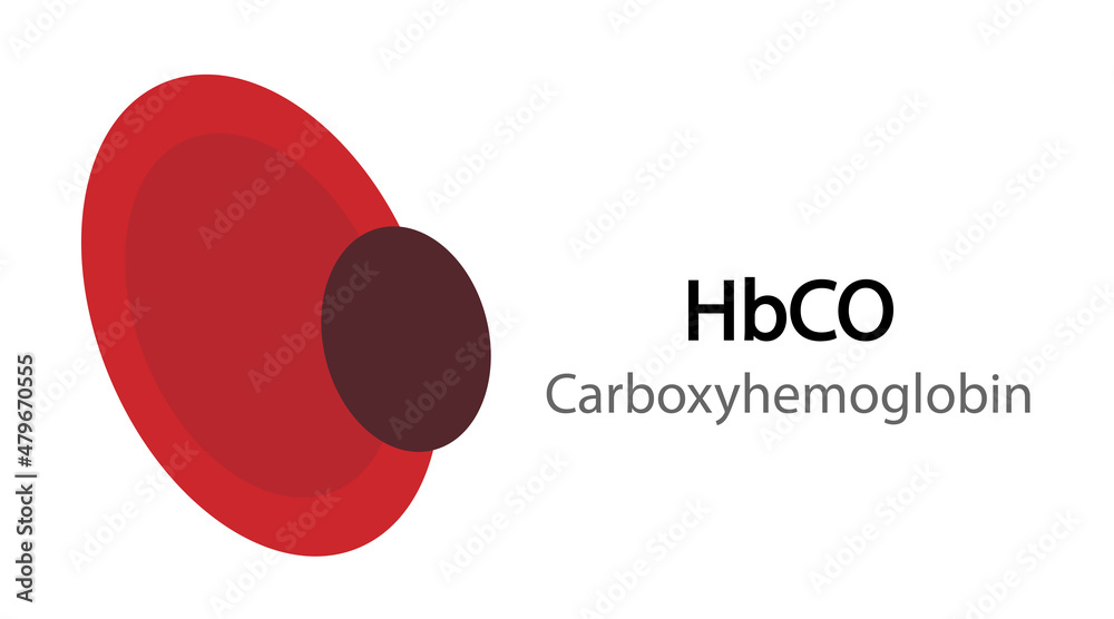 Carboxyhemoglobin molecule representation CO + Hb Stock Illustration ...