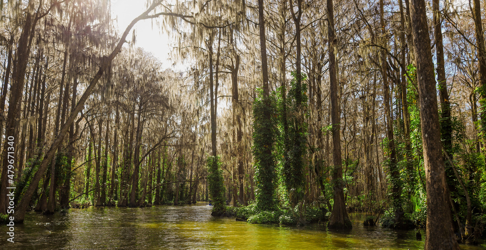 Dora Canal, which has been described as "The most beautiful mile of ...