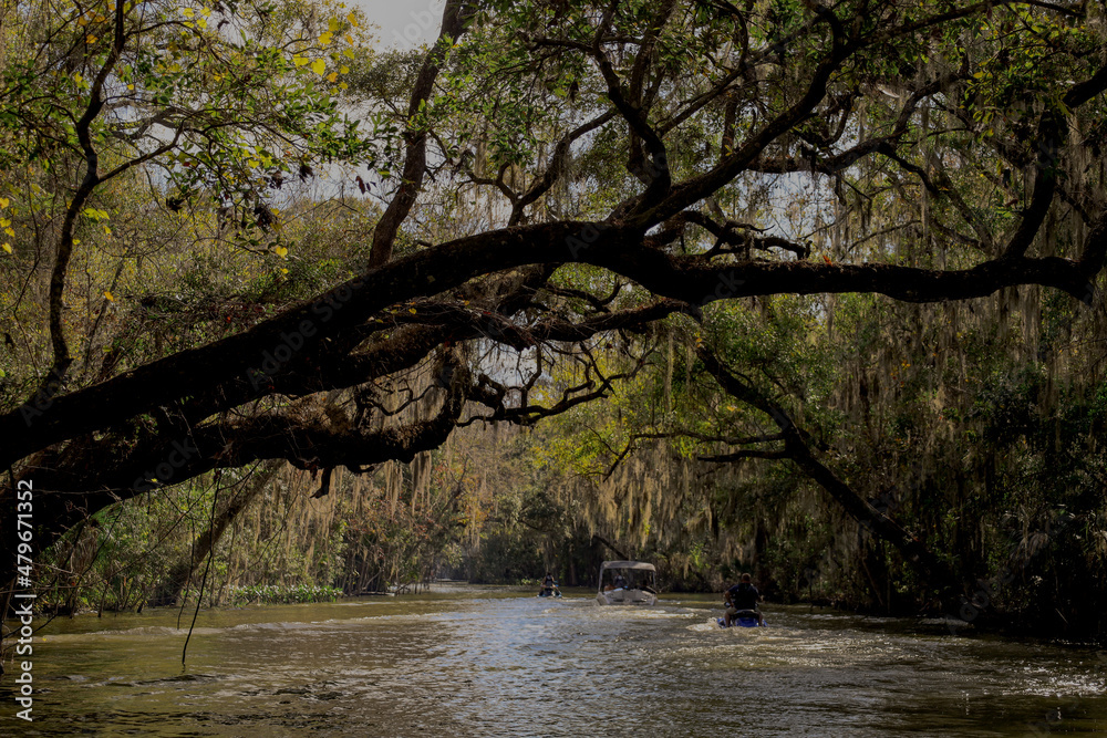 Dora Canal, which has been described as "The most beautiful mile of ...