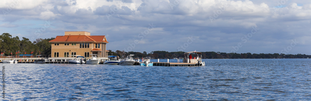 Lake Dora is the most prestigious of the Harris Chain Lakes. This is ...