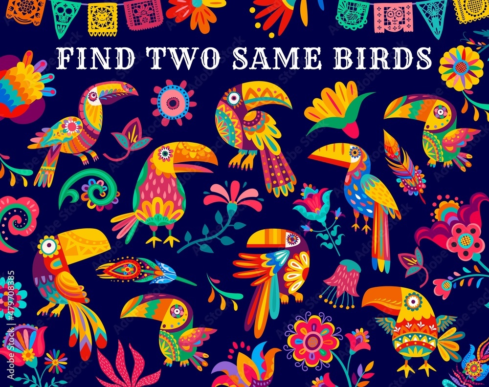 Find two same Mexican toucans, kids game riddle vector worksheet ...
