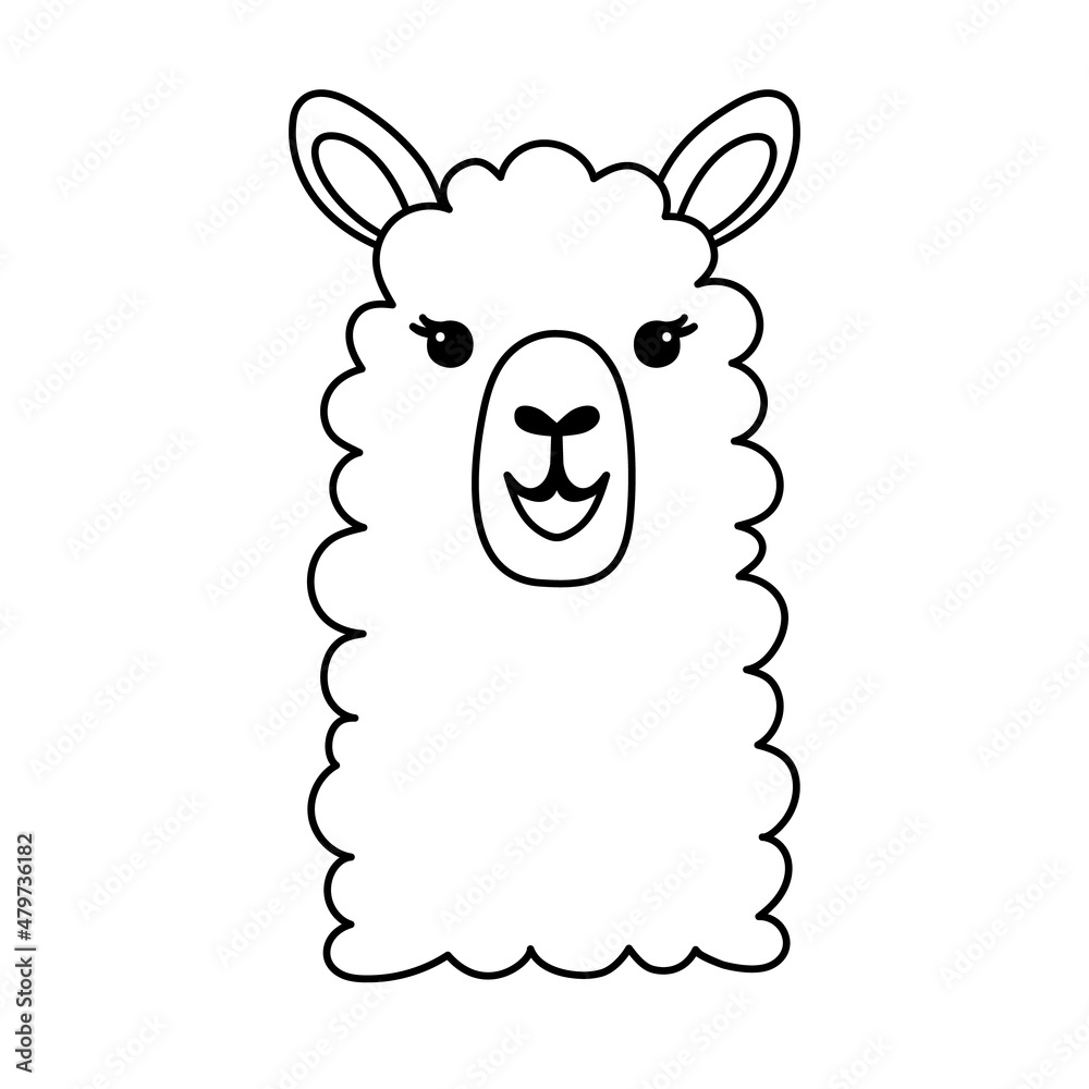 Hand drawn funny portrait of baby llama. Black and white line drawing ...